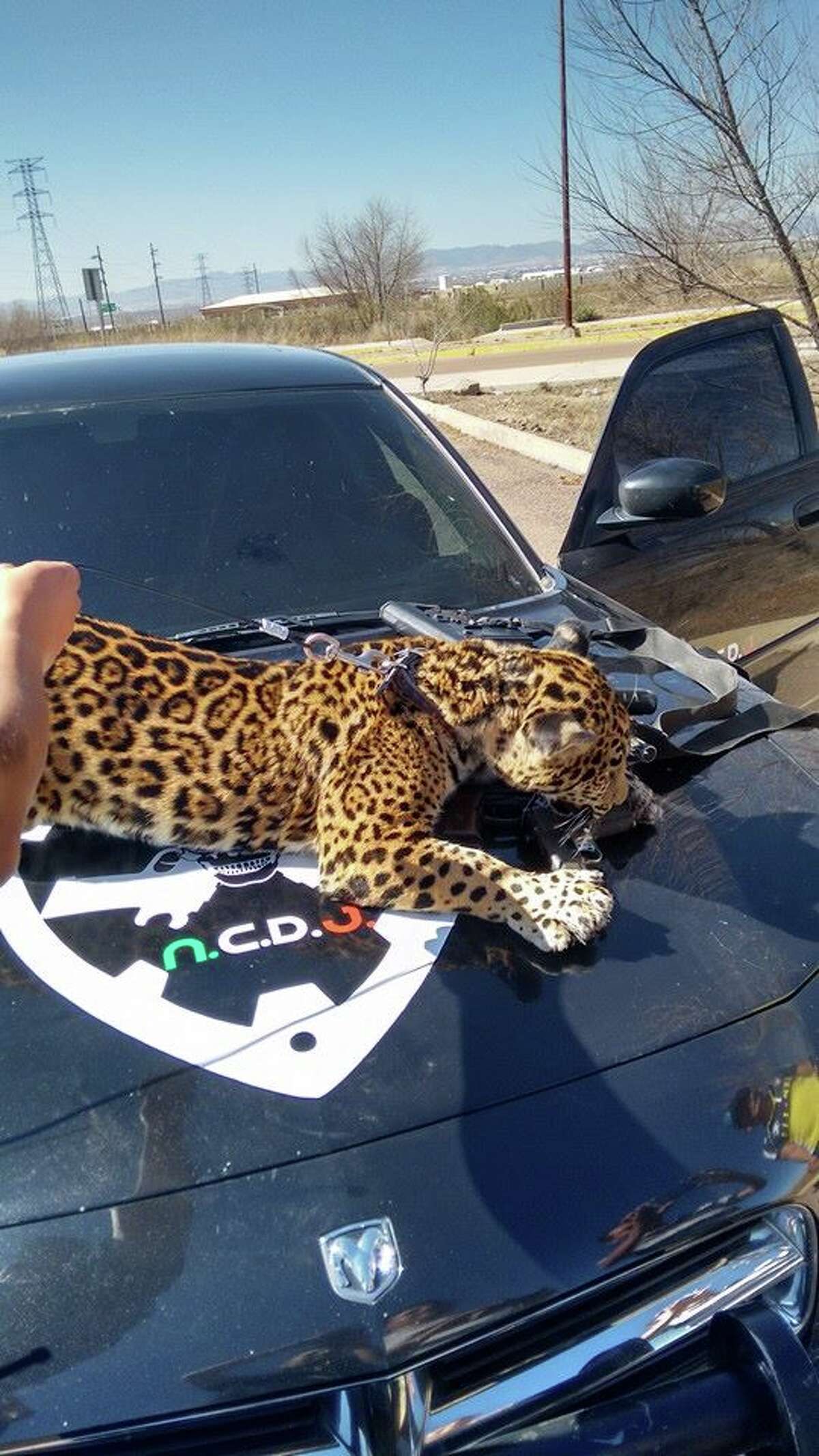 Former Mexican cartel head gets life for drug smuggling