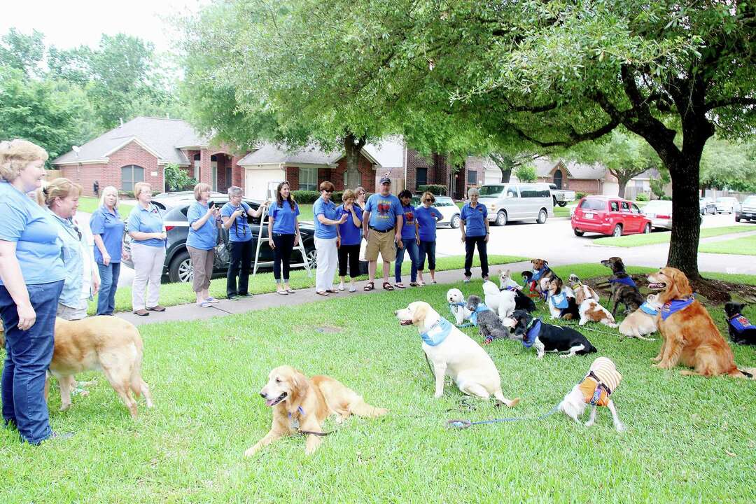 Visiting pets provide comfort, help ease stress