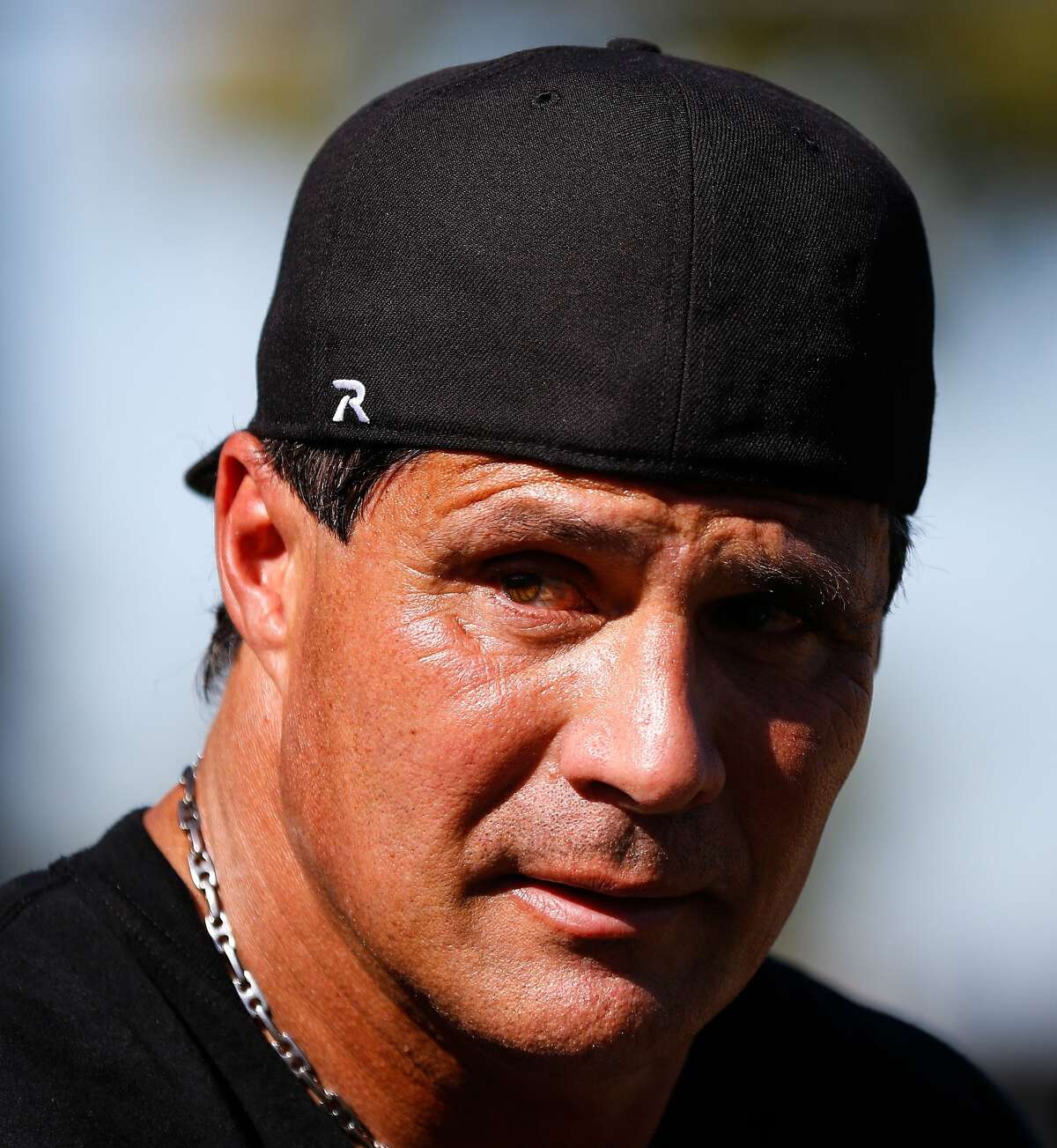 Stockbrokers are actually following Jose Canseco on Twitter for his ...