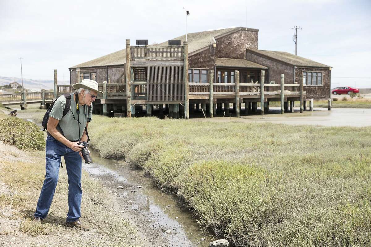 The coolest thing to do in each Bay Area city