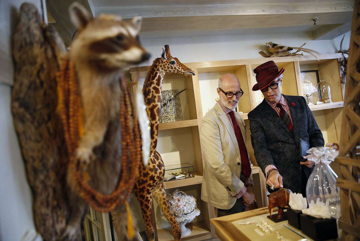 Twins Patrick and Michael McDonald find S.F. just dandy