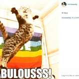 Social media uses memes to voice their opinions on historic marriage ...