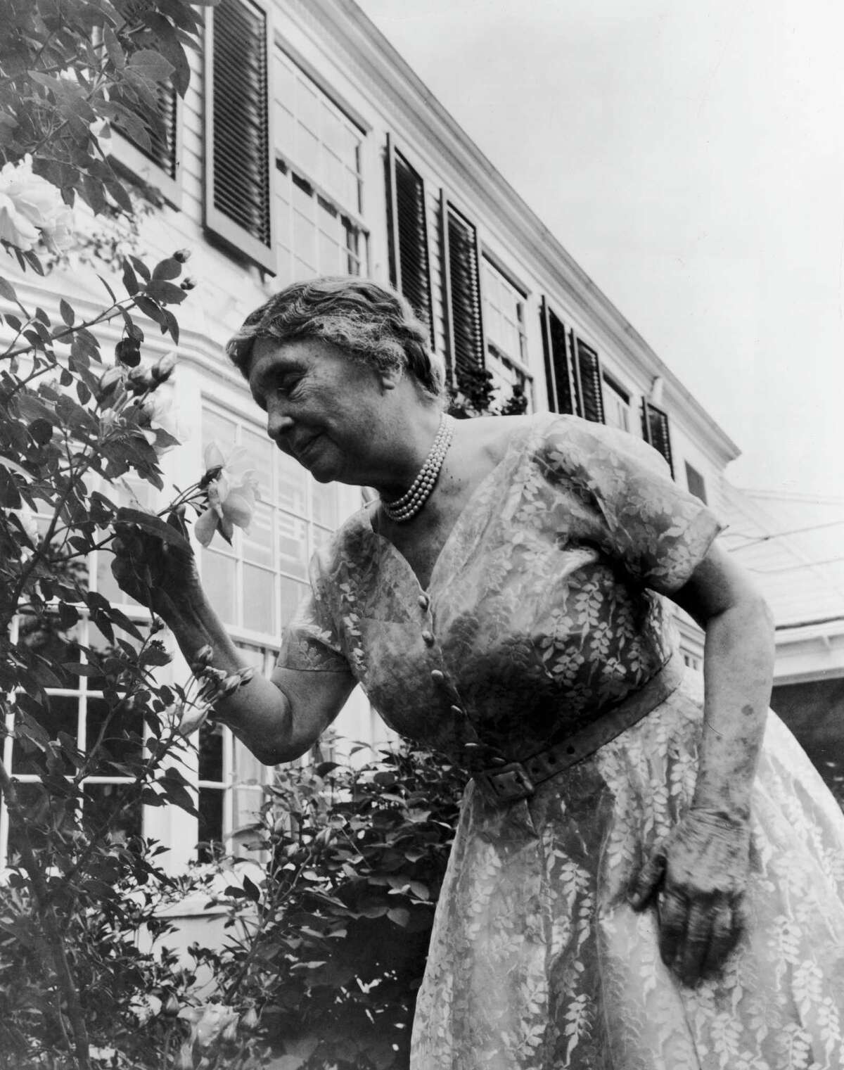 World Book Day: Famous authors with Connecticut ties