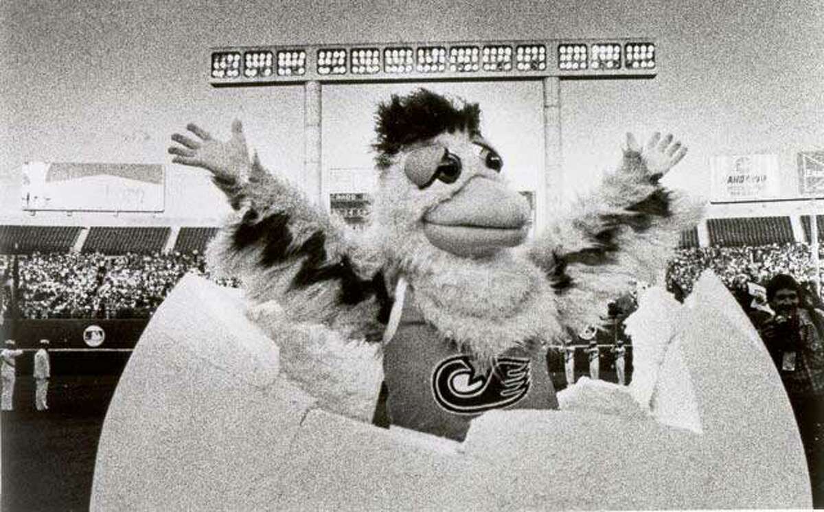 San Diego Chicken to ruffle S.A.’s feathers at Missions game