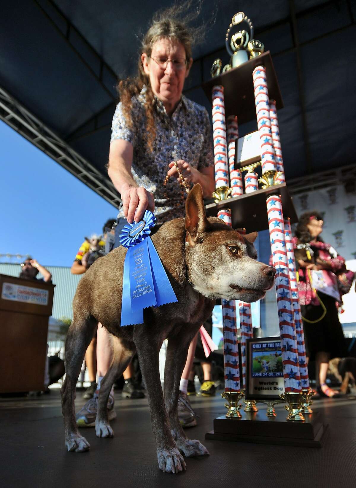 Quasi Modo crowned World’s Ugliest Dog