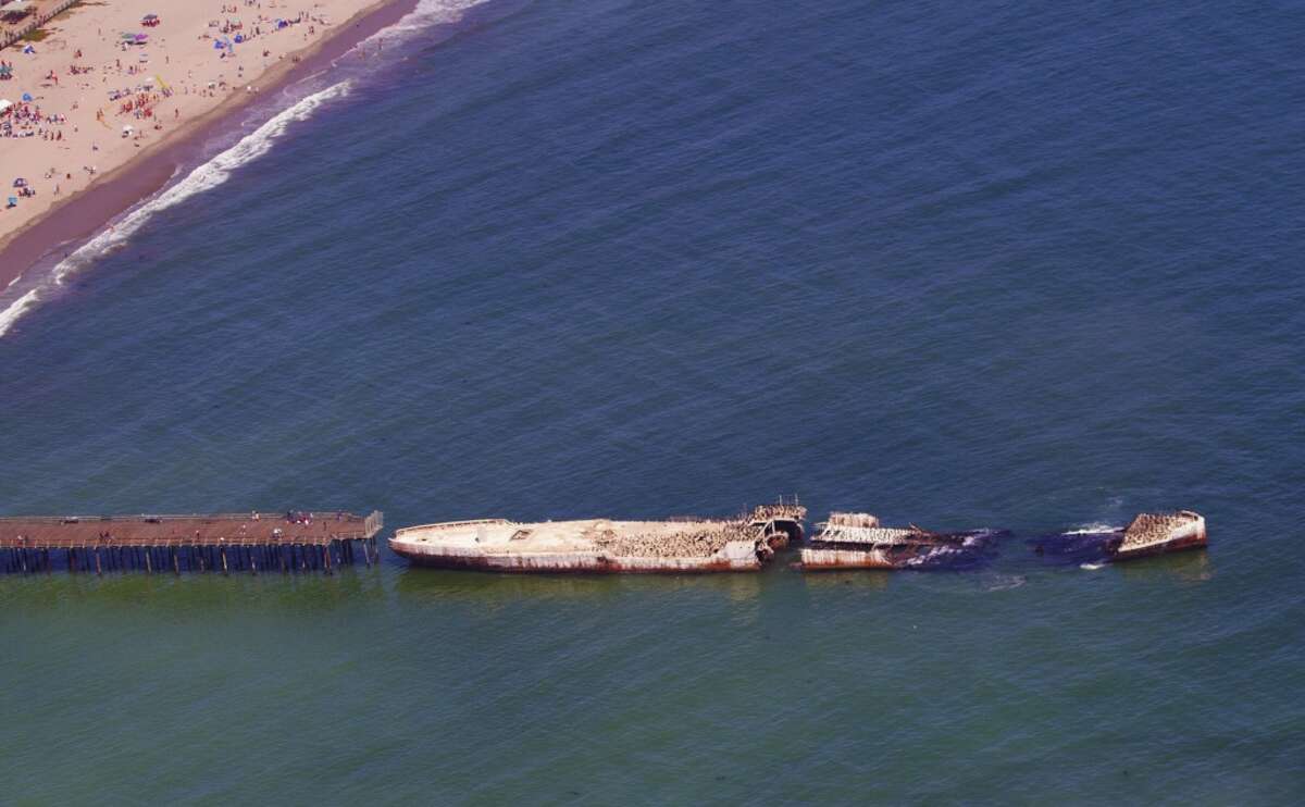 15 great whites spotted near cement ship