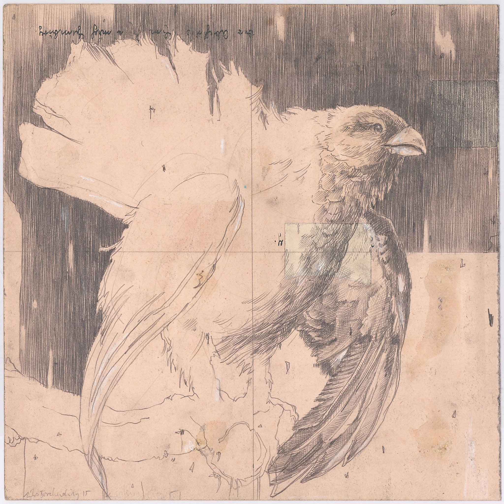 ‘Two on Paper’ at Jack Fischer Gallery