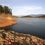 Fears of mercury in Shasta Lake fish surface - SFGate