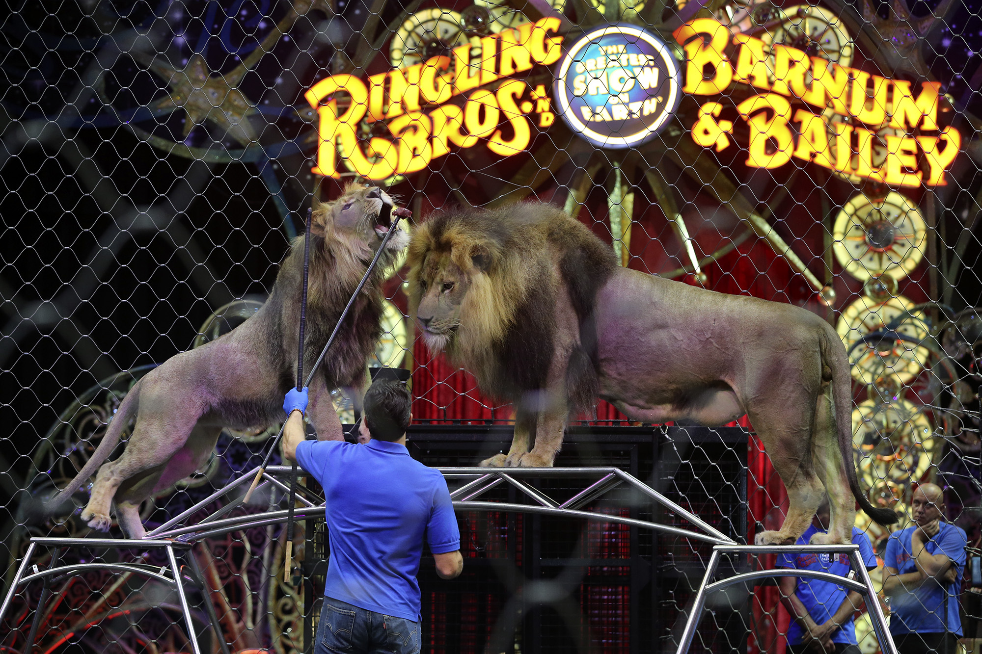 Circus hosts military families during special performance