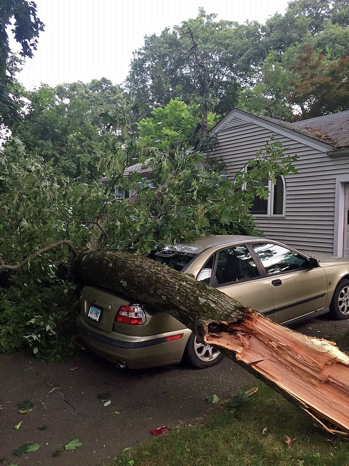 Fallen tree crushes car, damages home's roof