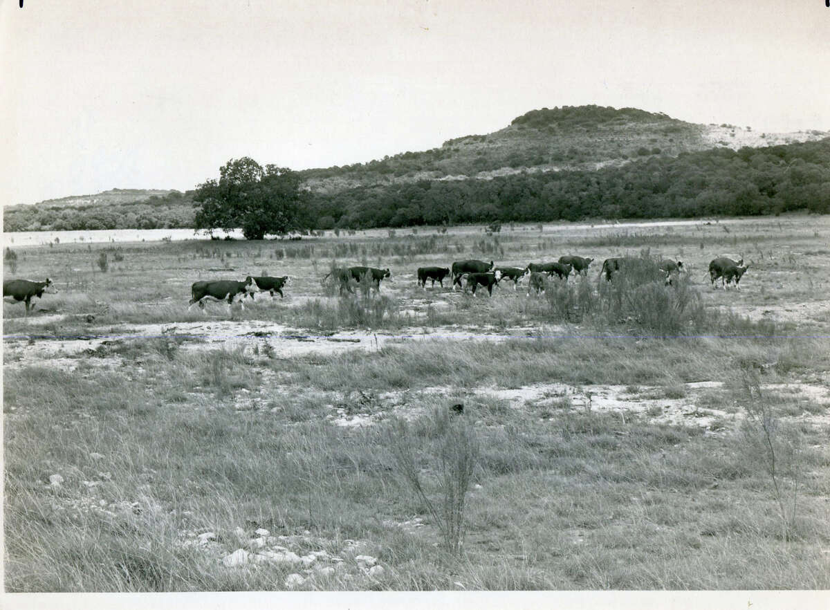 Photos: Camp Bullis military training through the years