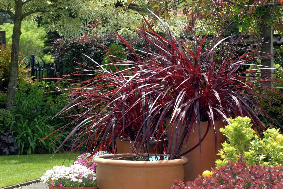 Garden color not just for flowers