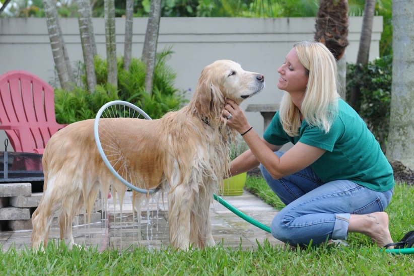 After Years of Struggle, Pet-Washer Inventor Celebrates Viral Video Success