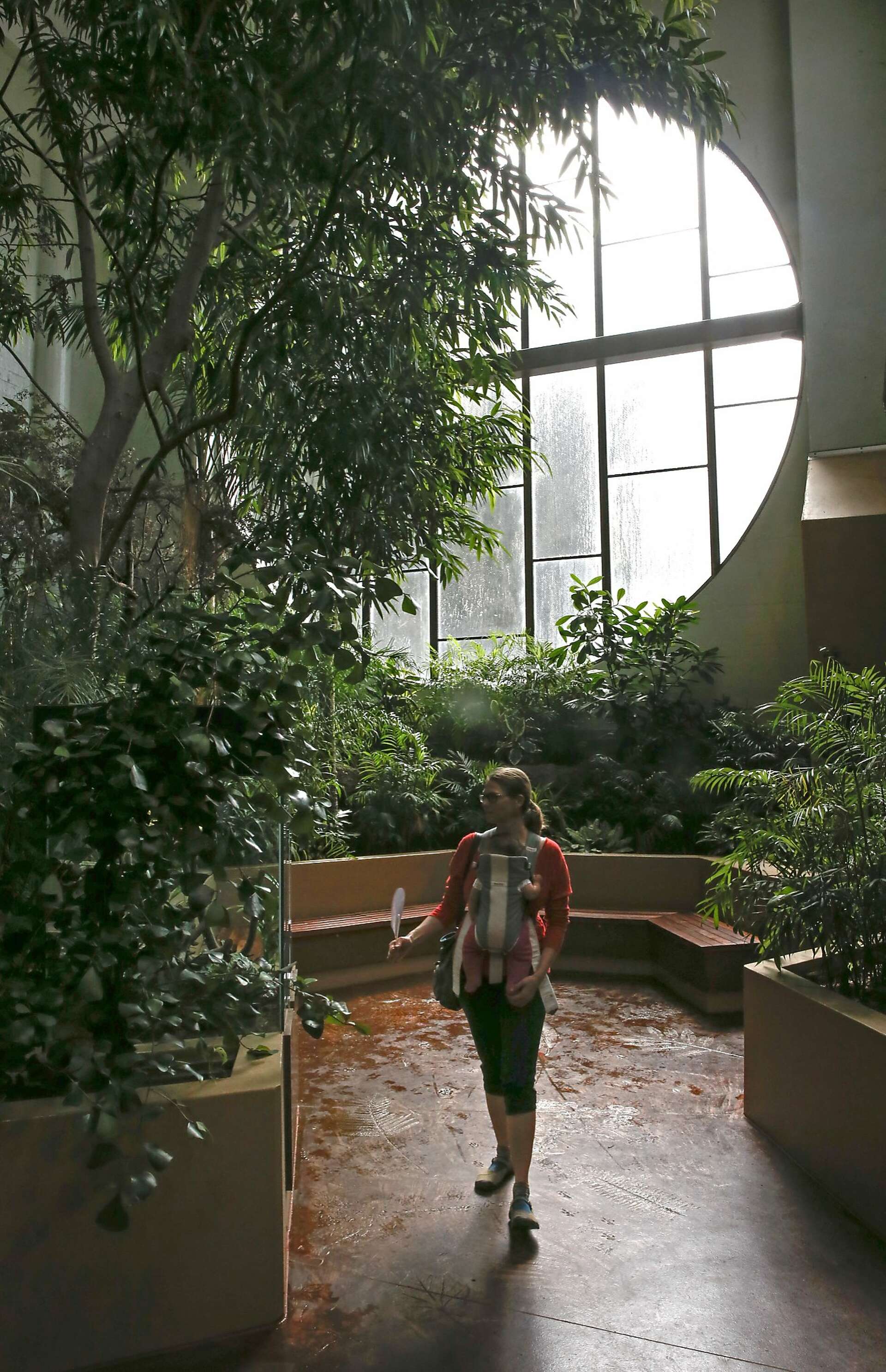 Birds, snakes and sloths meet in new S.F. zoo exhibit