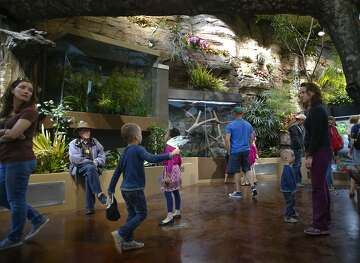Birds, snakes and sloths meet in new S.F. zoo exhibit