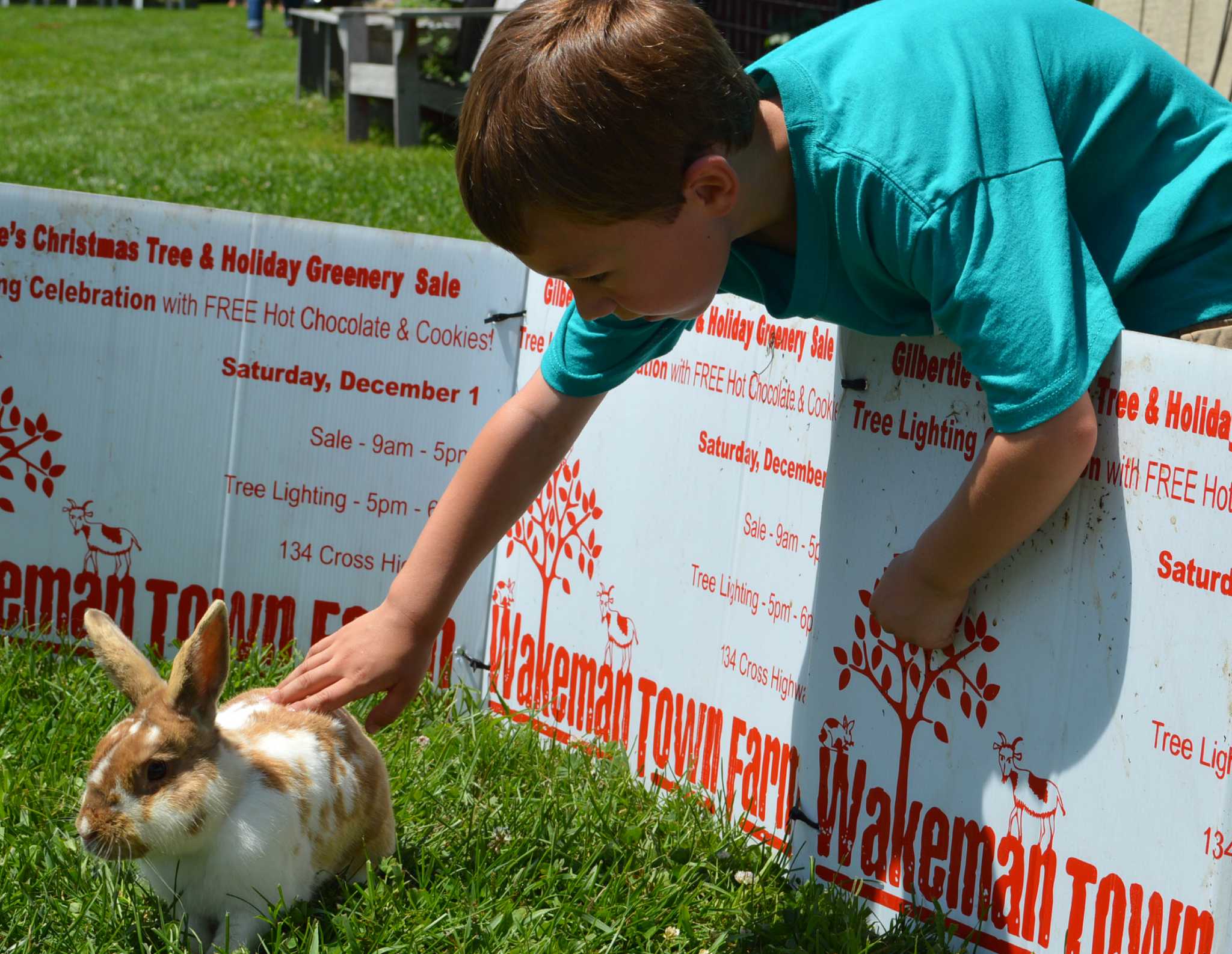 A bumper crop of fun down on Wakeman Farm