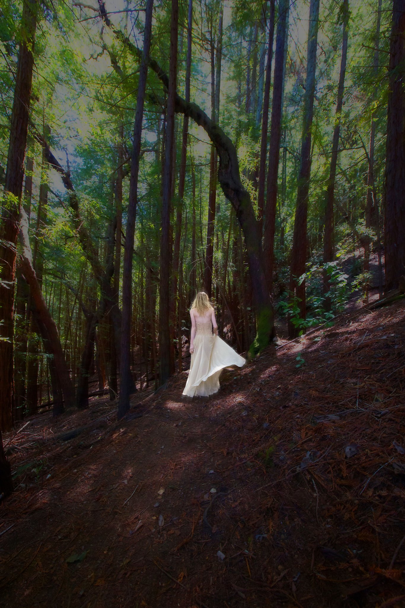 Julia Adam Dance offers ‘Woodland’ dance in nature