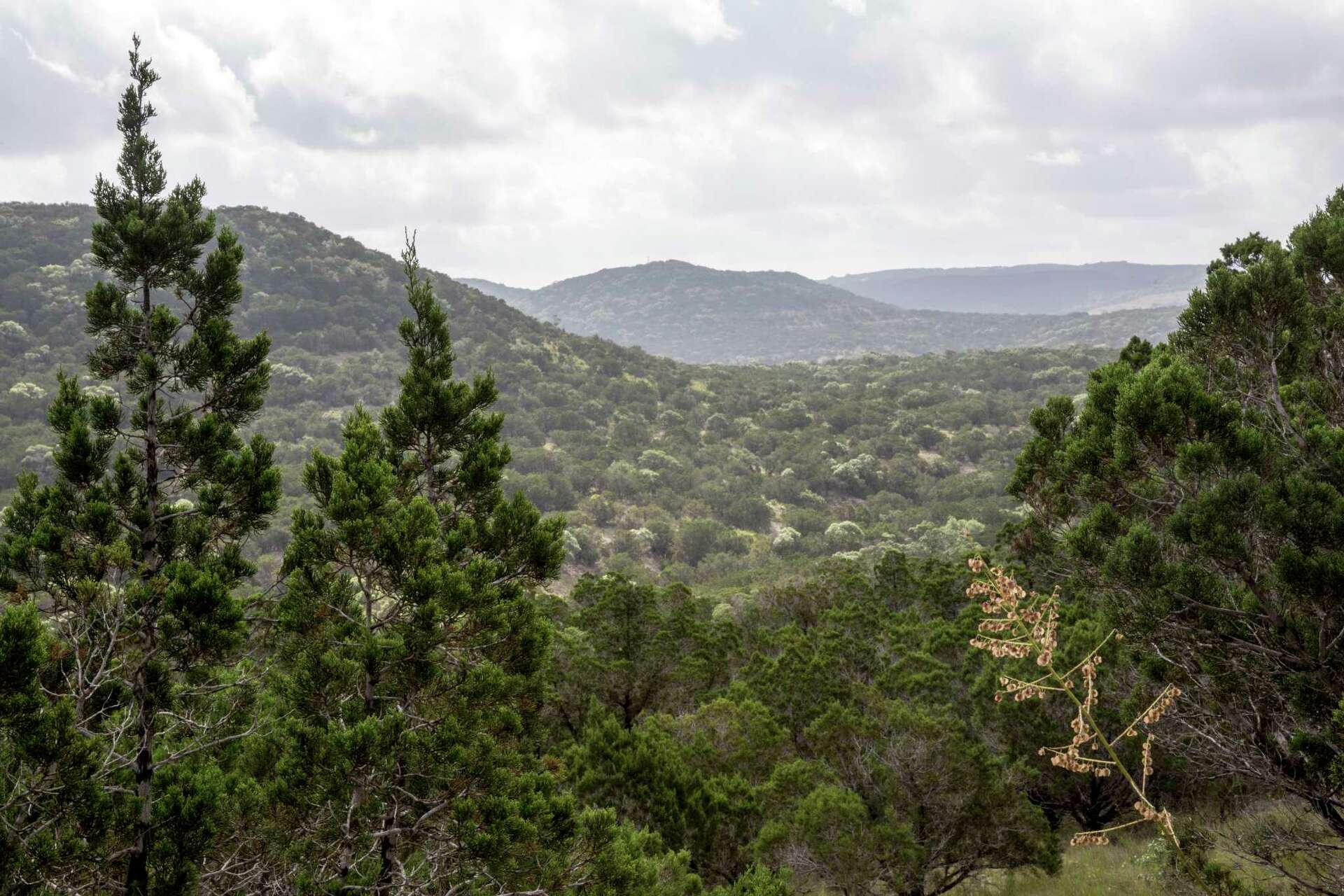 Texas Parks and Wildlife wants to open 60,000 acres to the public