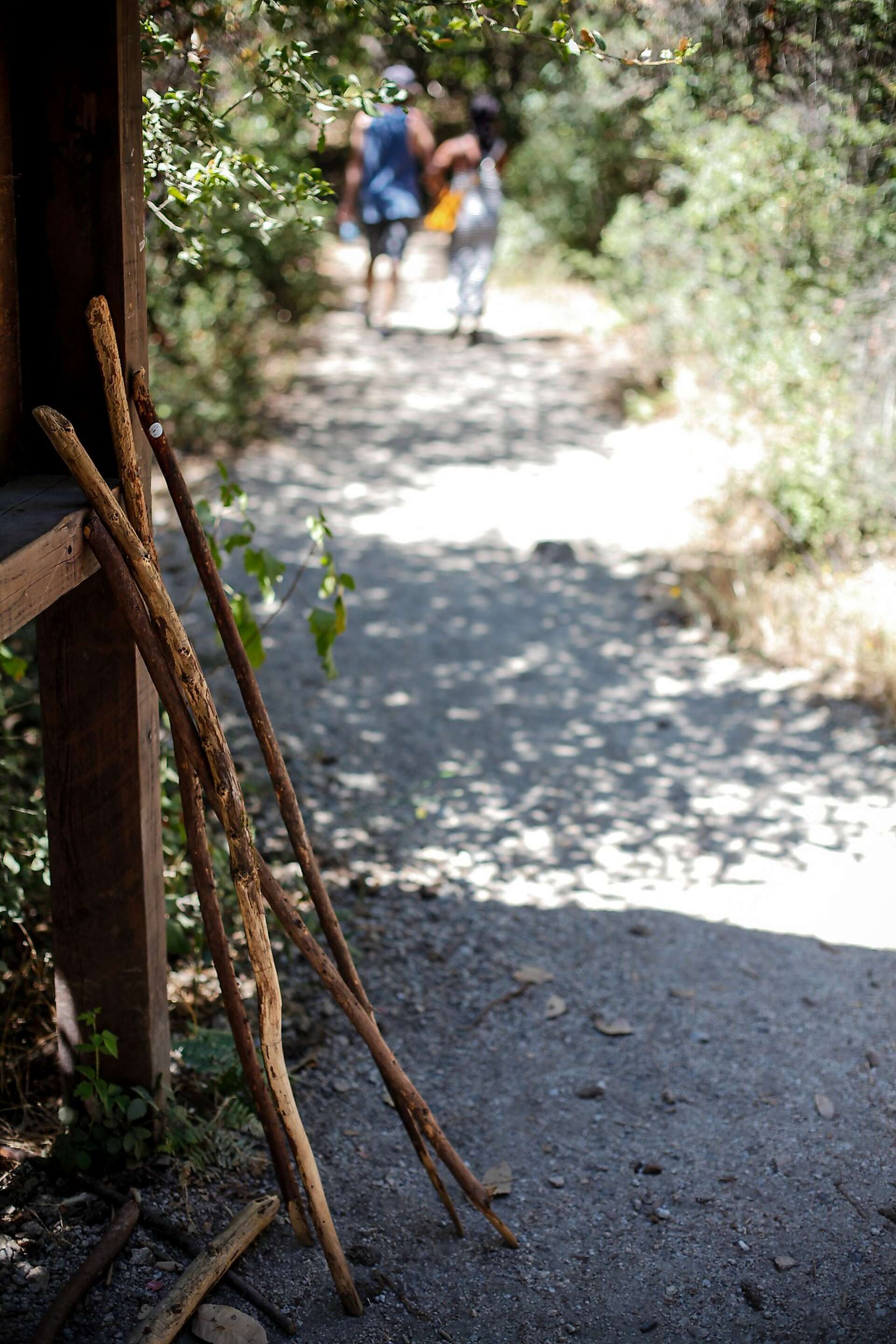 An Instagram account is shaming bad tourist behavior at Big Sur. But is ...