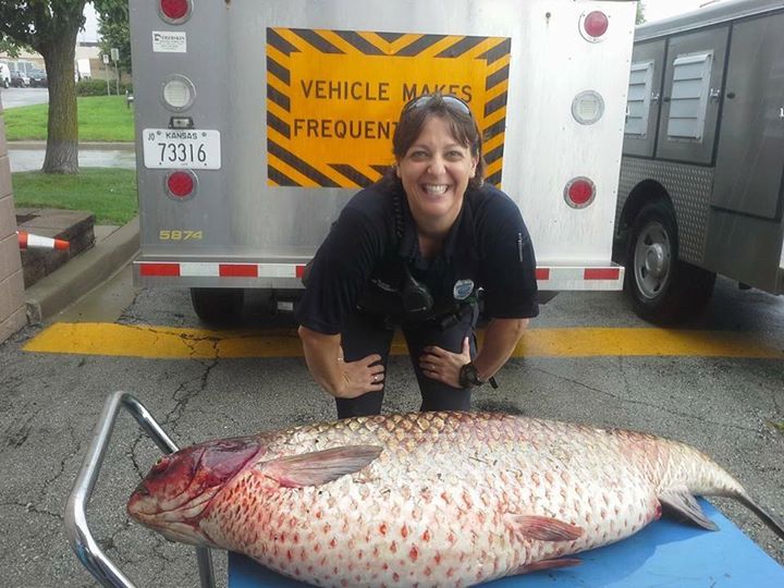 Massive fish found in Kansas roadside ditch