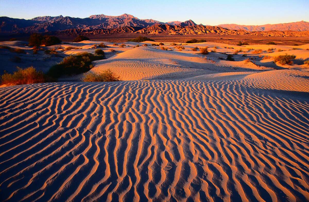 Millions of flowers blanket Death Valley in first 'super bloom' in a decade