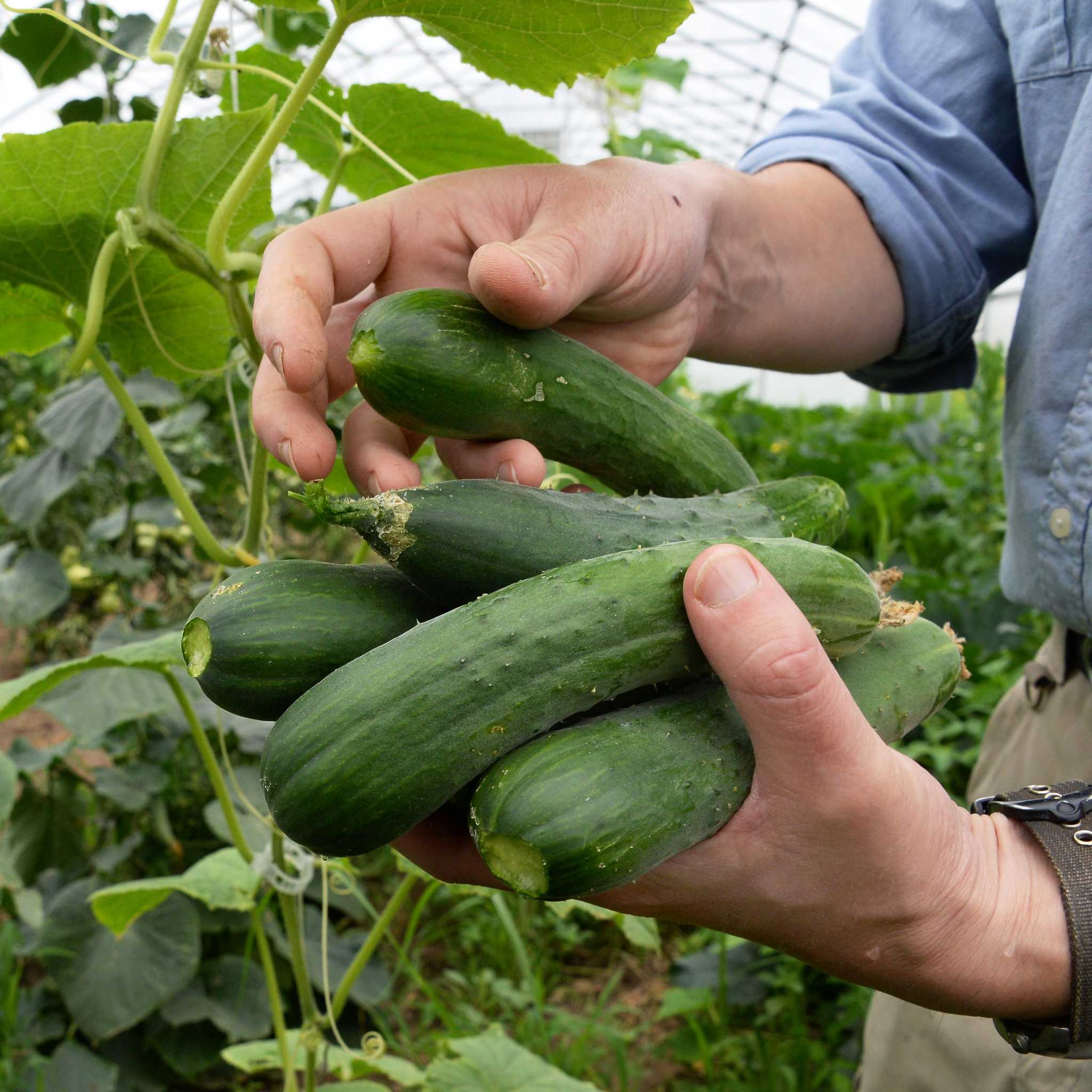 Megan McDonald trial: Mistrial in case against Edward Holley