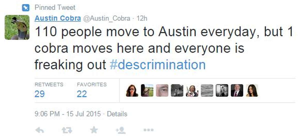 Cobra believed to have bitten, killed man found dead