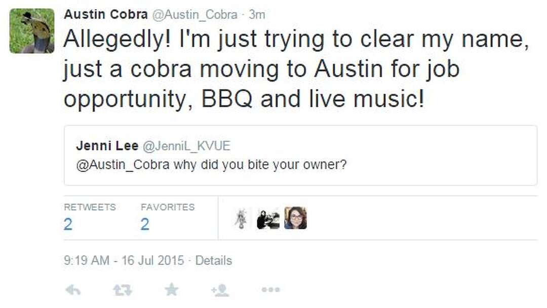 Cobra believed to have bitten, killed man found dead