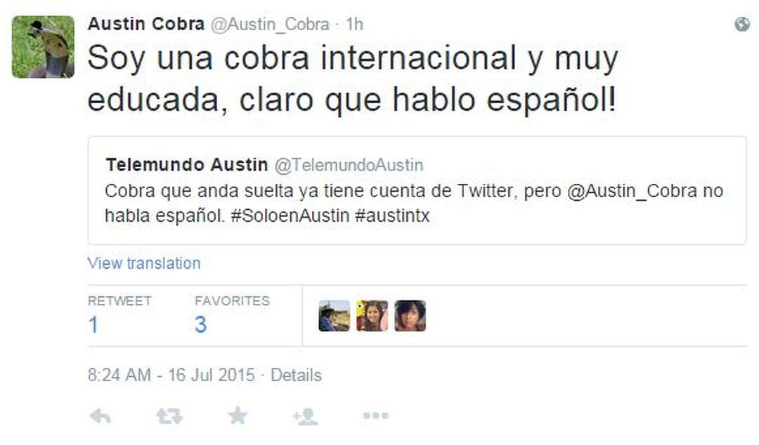 Cobra believed to have bitten, killed man found dead