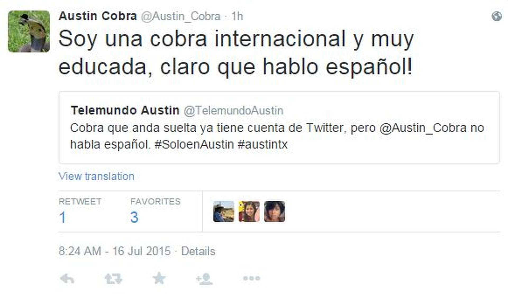 Cobra believed to have bitten, killed man found dead