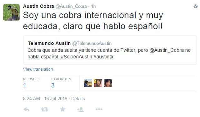 Cobra believed to have bitten, killed man found dead