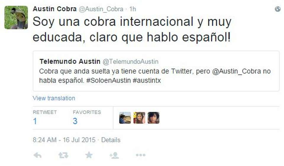 Cobra believed to have bitten, killed man found dead