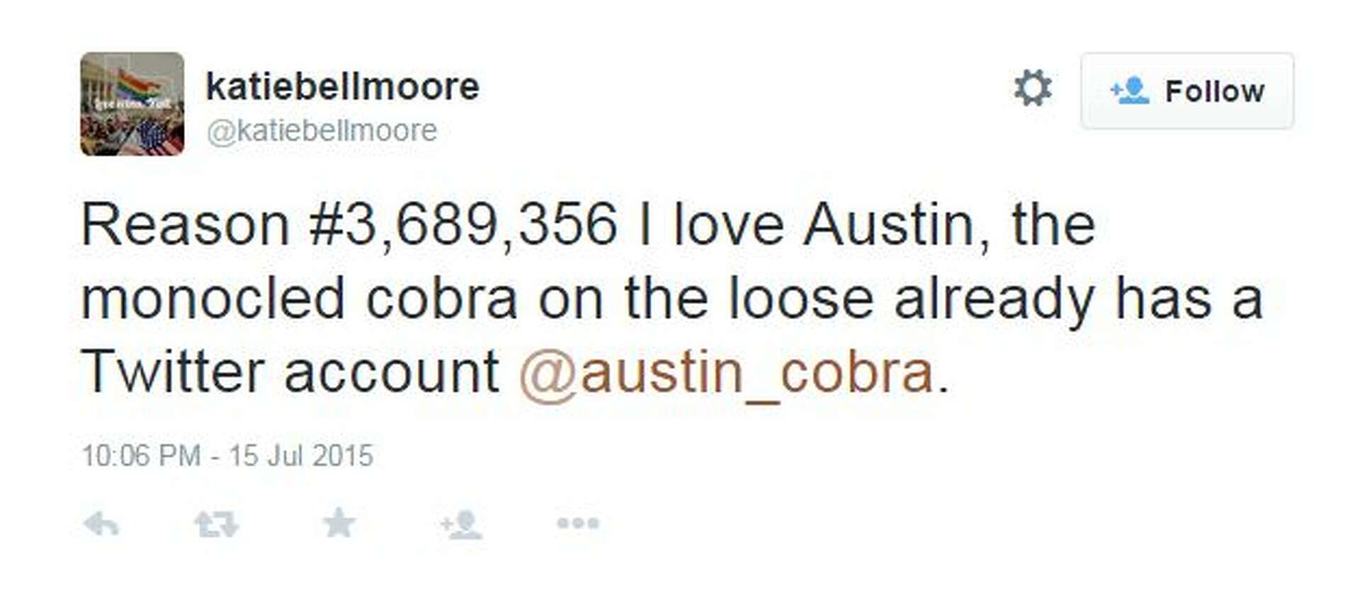 Cobra believed to have bitten, killed man found dead