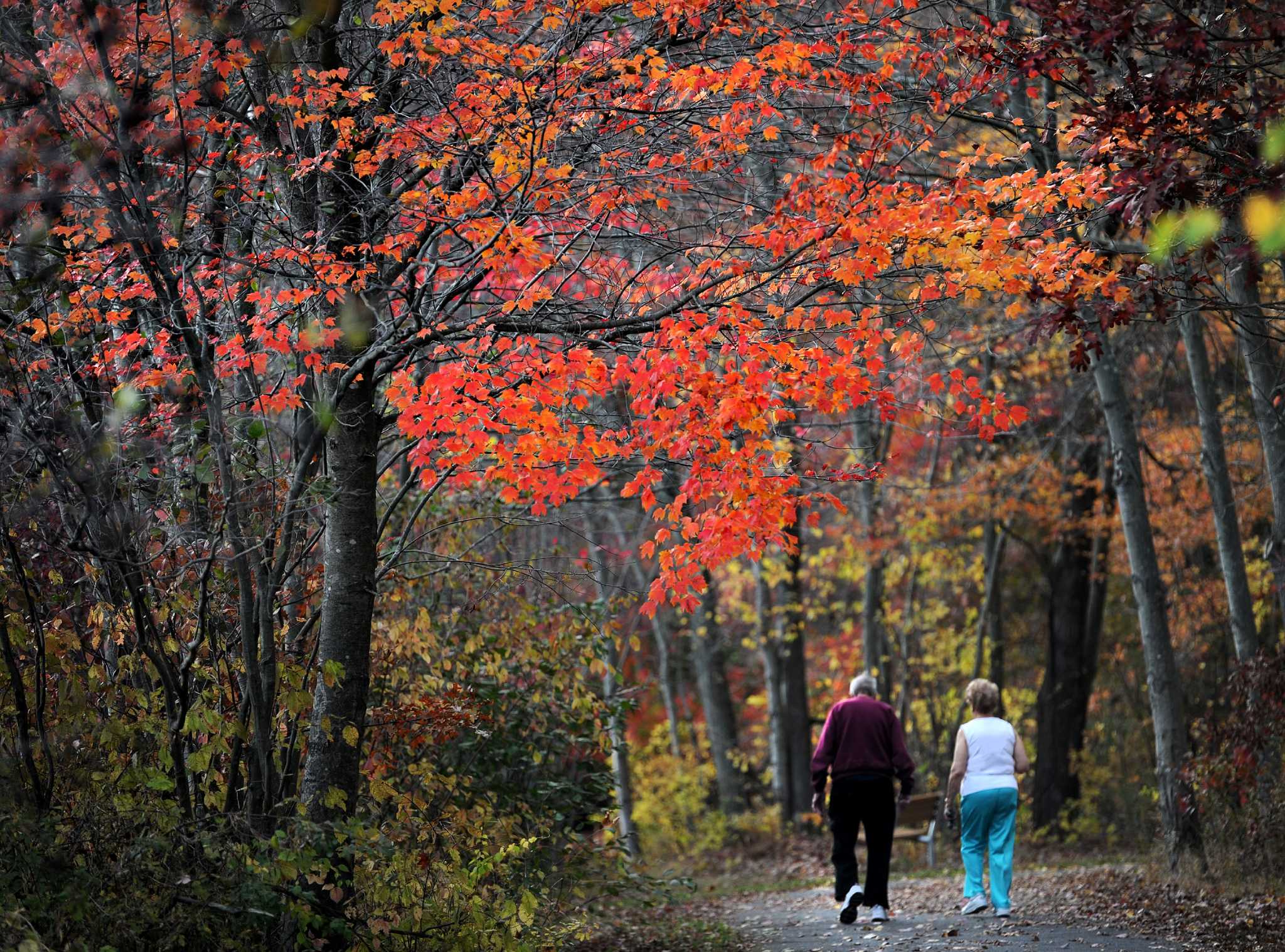 Best fall foliage walks and hikes in western Connecticut