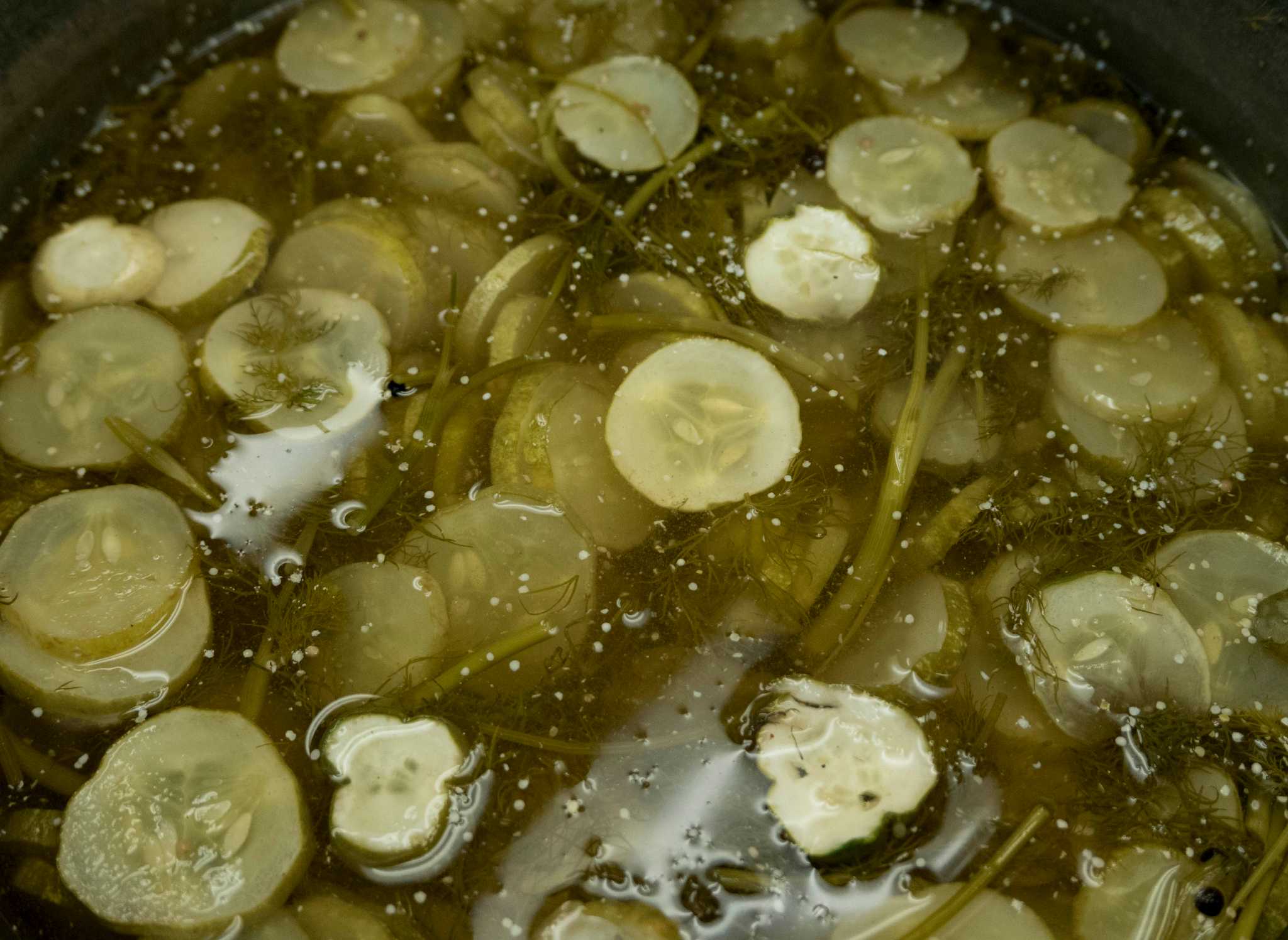 Recipe: Quick Pickle-Classic Dill Pickles