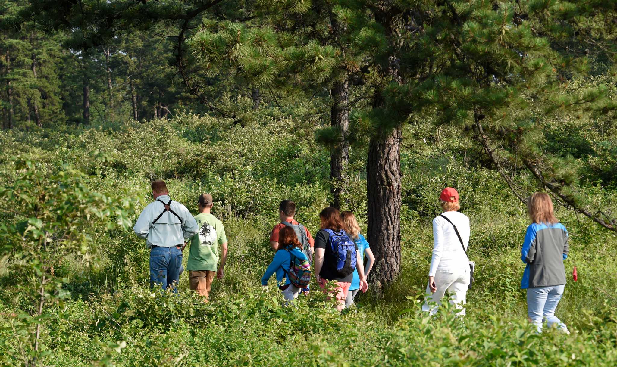 Top spots for bird-watching
