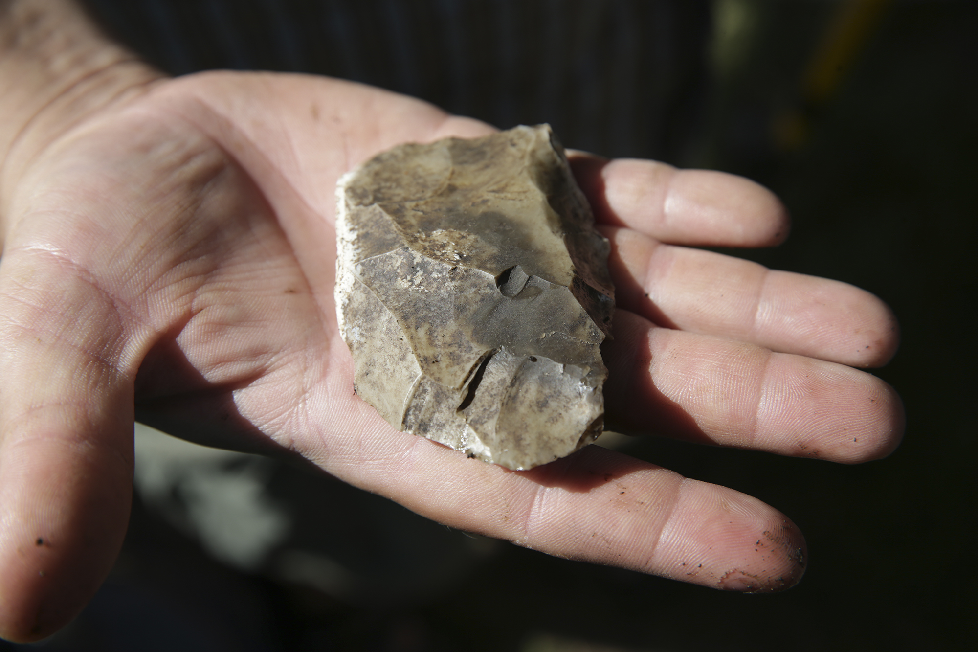 Unearthing our history