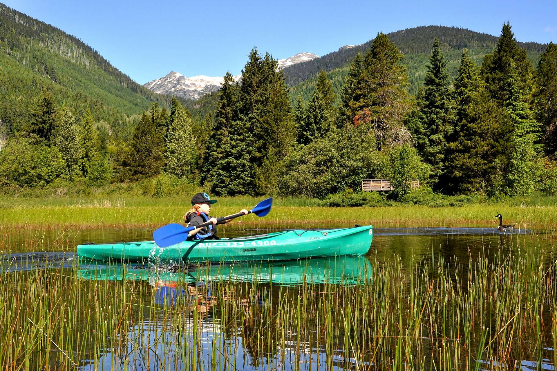 Whistler turns up adrenaline in the summer