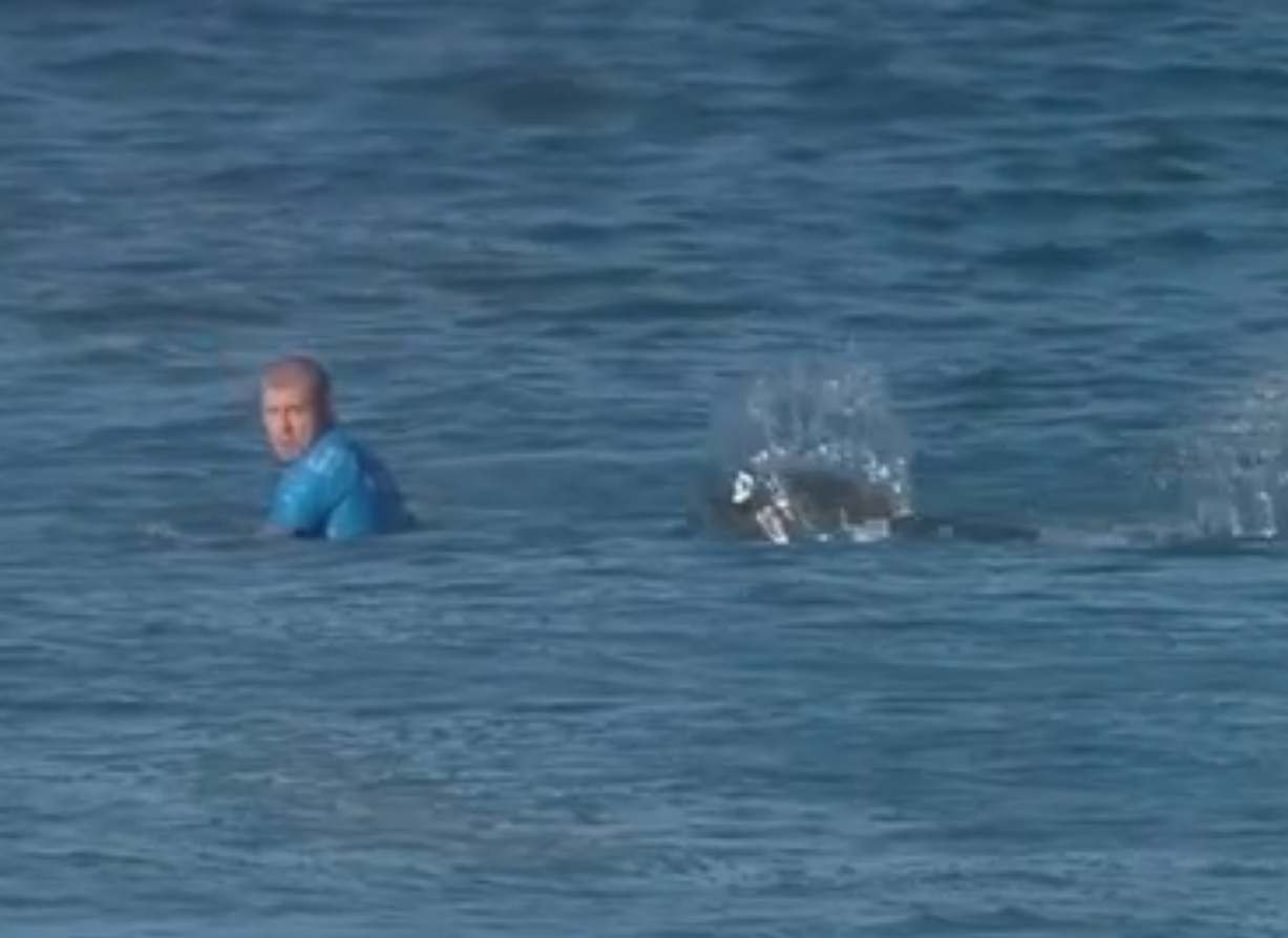 Australian surfer fights off shark during competition