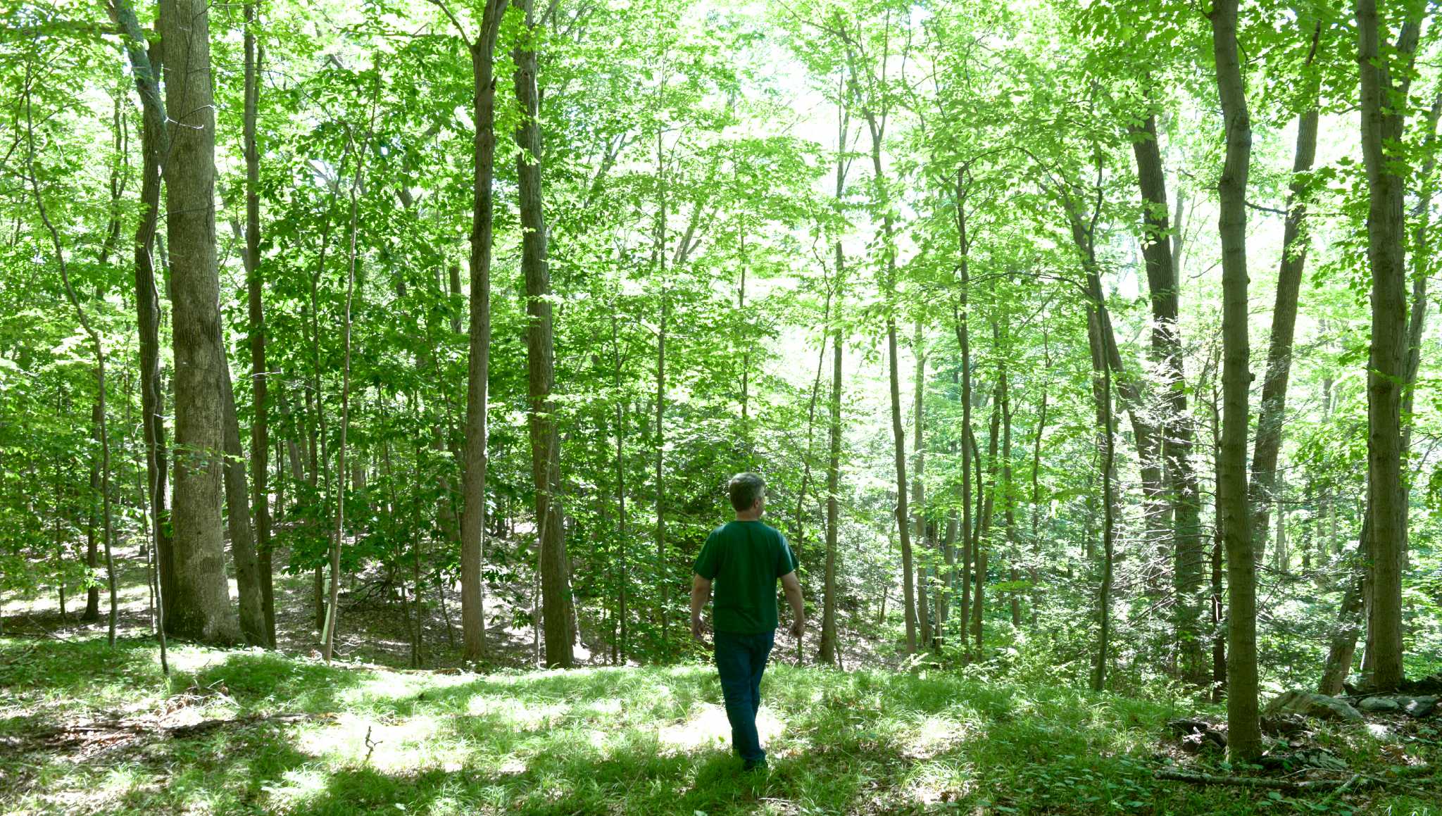 Redding adds to open space preserves