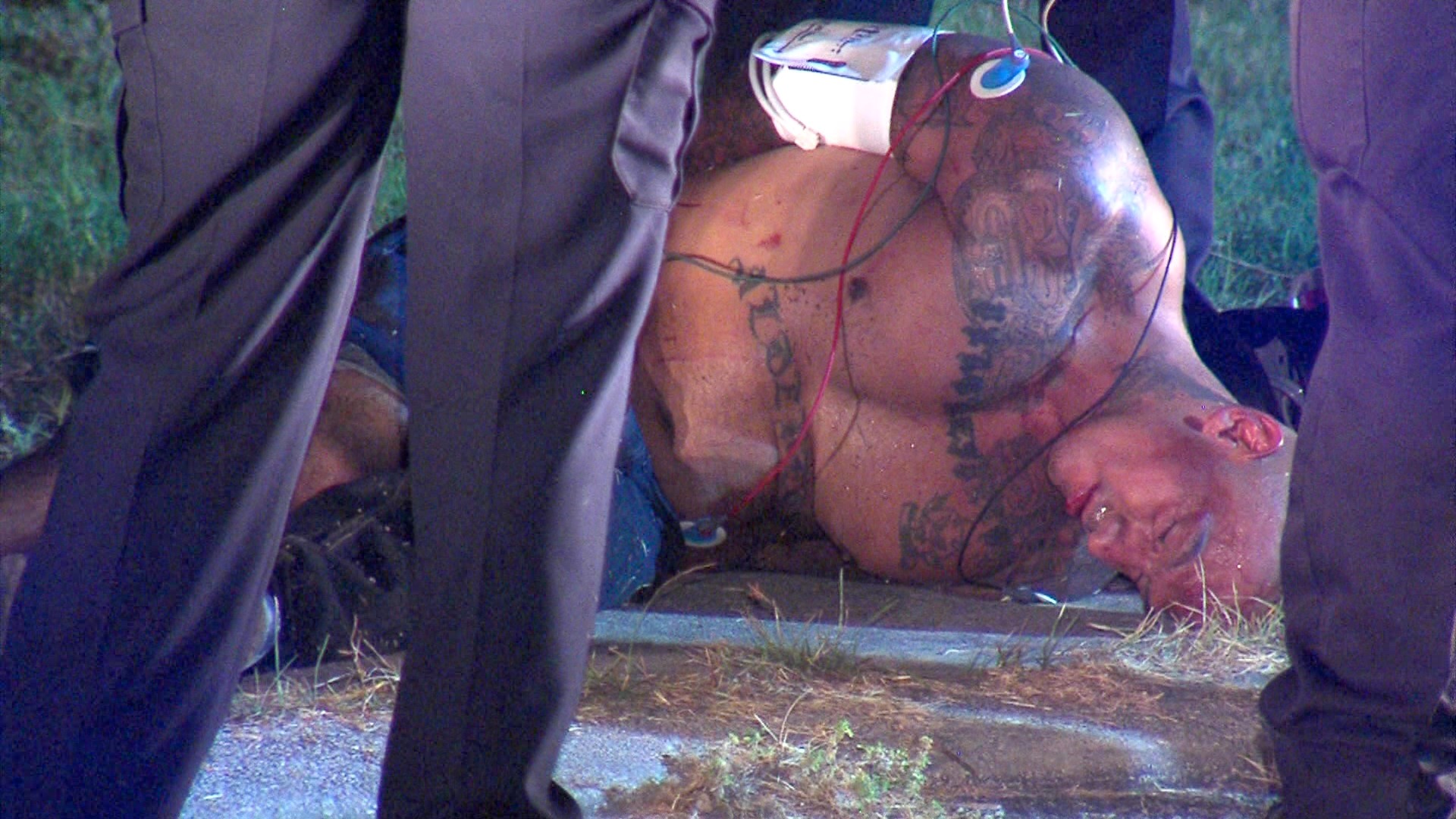 Suspect in high-speed chase attacked by dog, arrested near downtown