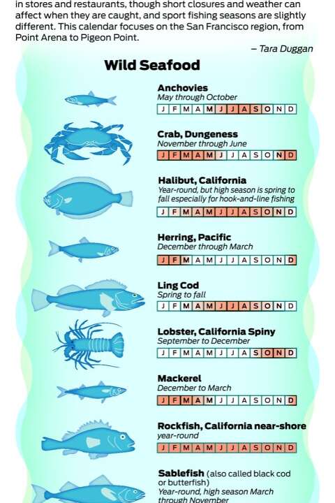 The seafood calendar: What’s in season locally