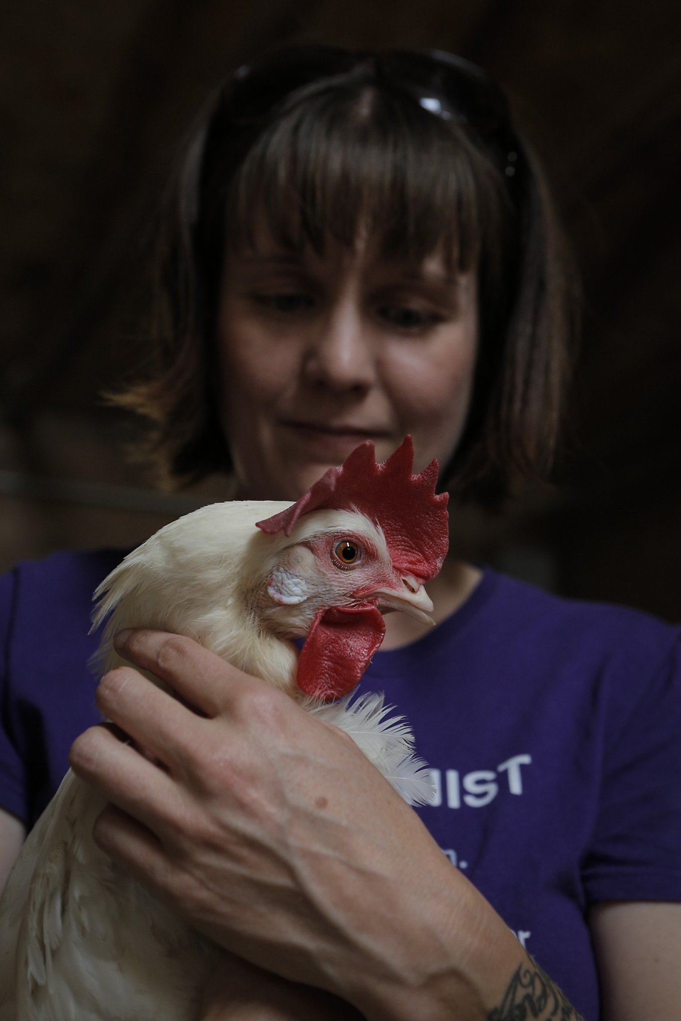 Adrienne Ramirez's Instagram, Twitter & Facebook on IDCrawl