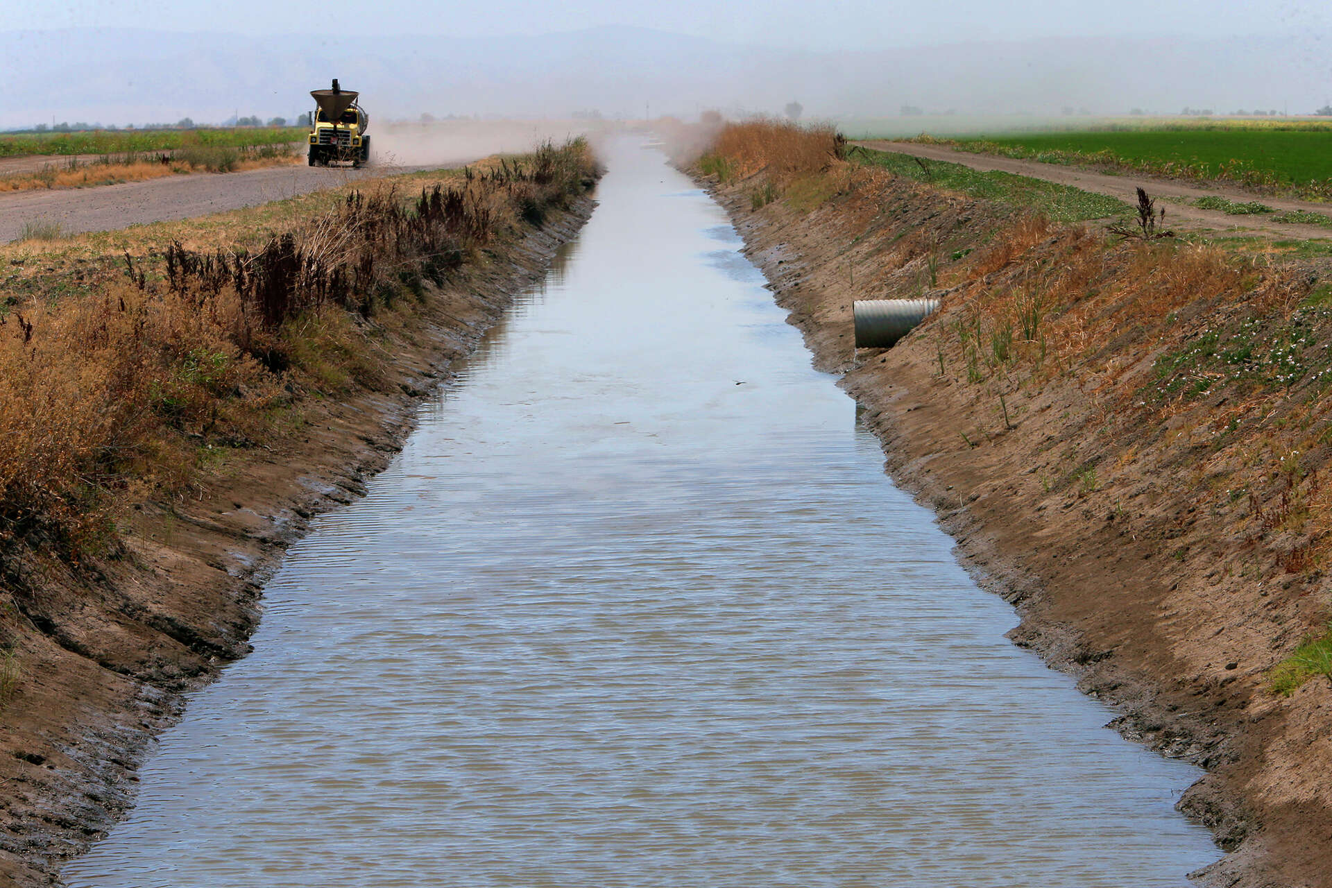 California rice farmers put water rights to work for environment