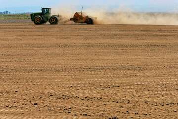 California rice farmers put water rights to work for environment