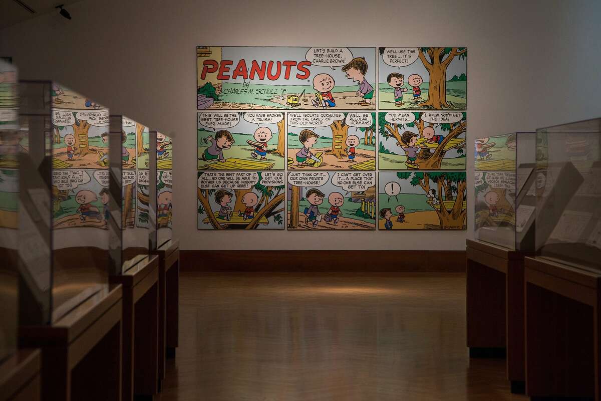 The coolest thing to do in each Bay Area city