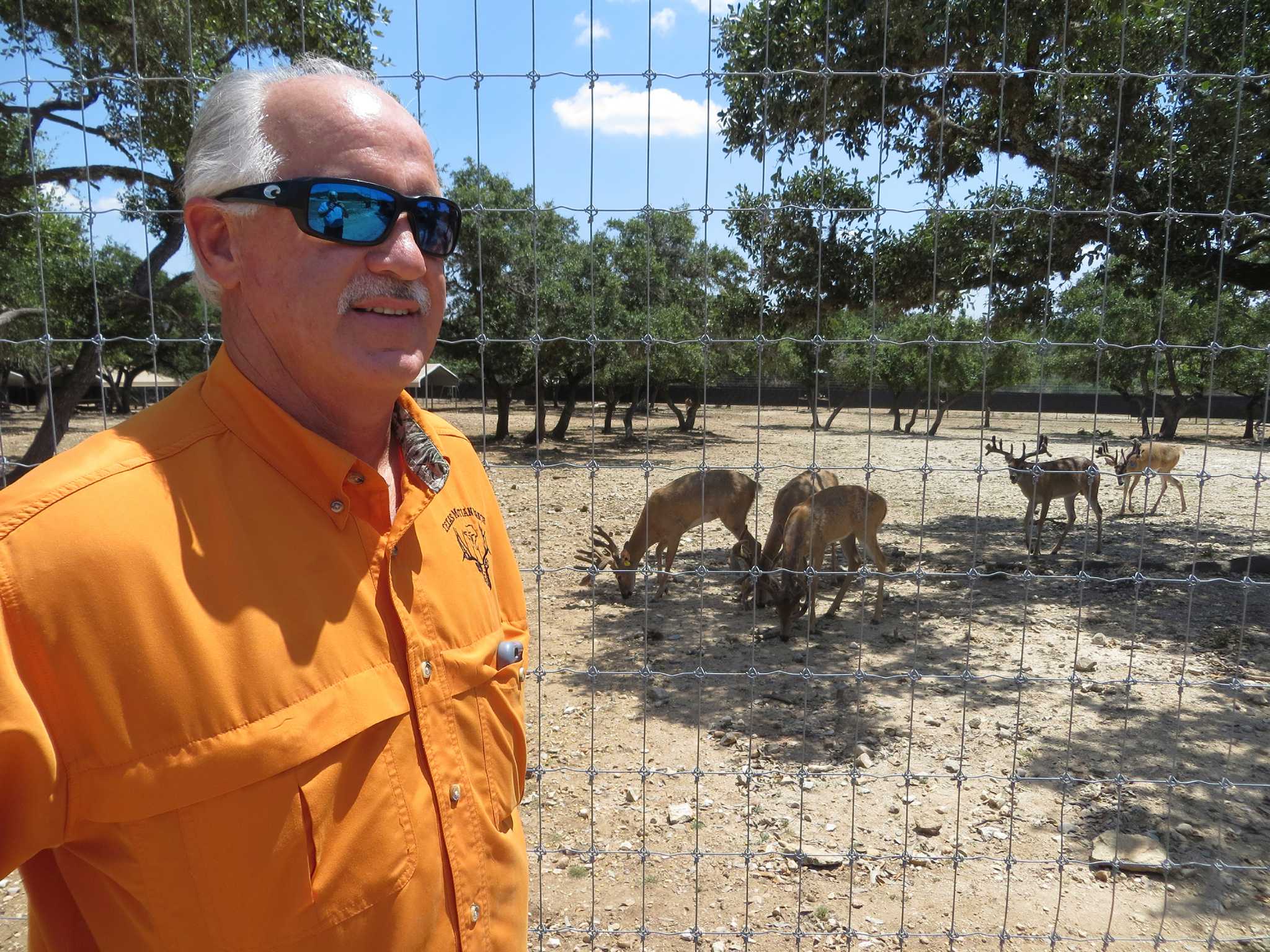 At breeding ranch where disease was found, wild deer are now the target