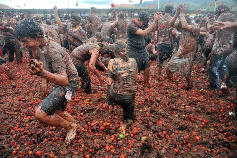 Testicle Festival kicks off 33rd annual festivities - Houston Chronicle