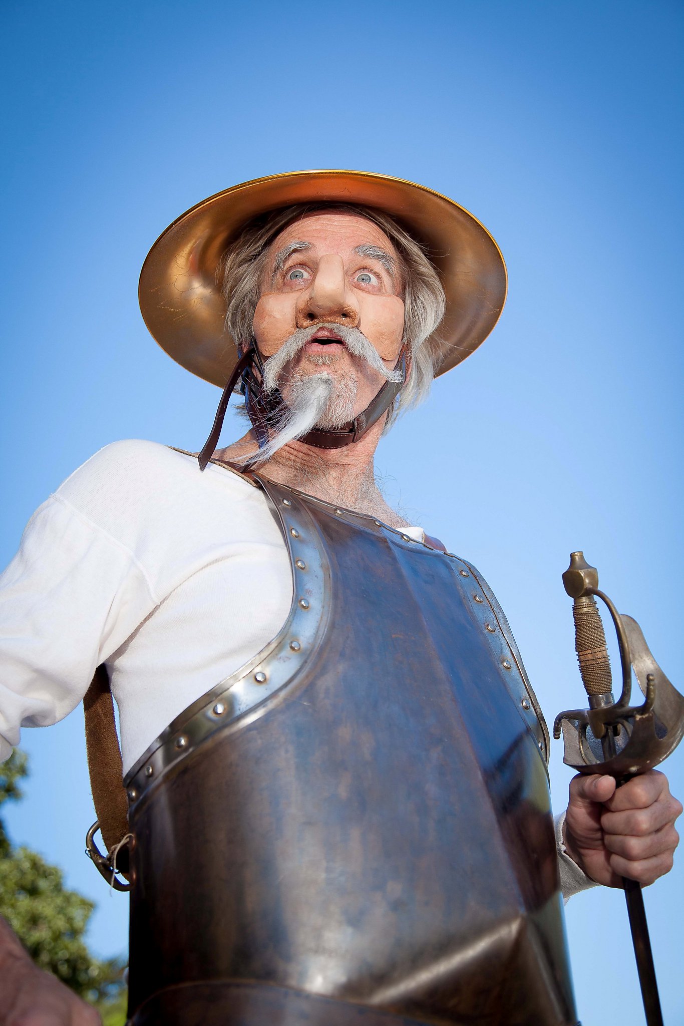 A possible dream — playing Quixote