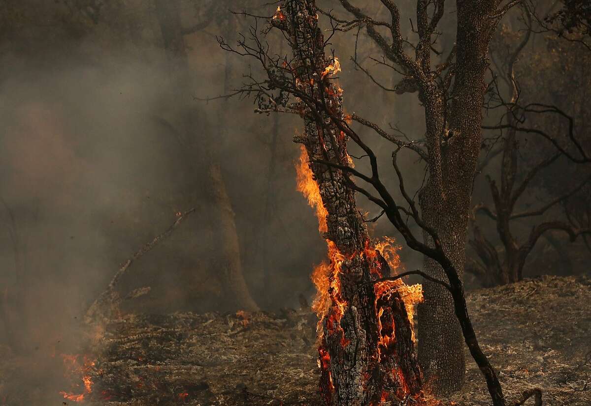 Clear Lake wildfire spreads to 71 square miles as other blazes rage